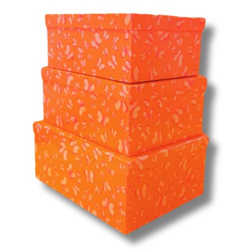 Viter Kutija color s 35249_6