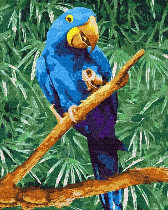Ideyka Slika po brojevima Plavi papagaj, 40x50cm