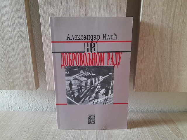 Na dobrovoljnom radu - Aleksandar Ilić