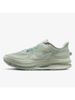 Nike pegasus premium