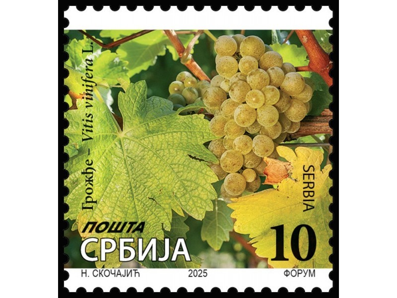 REDOVNA 2025