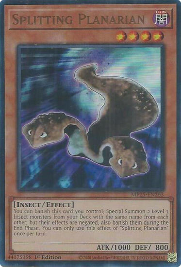 Splitting Planarian - MP25-EN263 - Ultra Rare 1st Edition