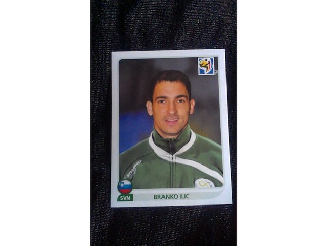 Panini FIFA 2010 J.Afrika sličica broj 246
