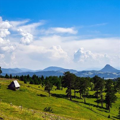 Zlatibor, odličan plac za gradnju 300 ari
