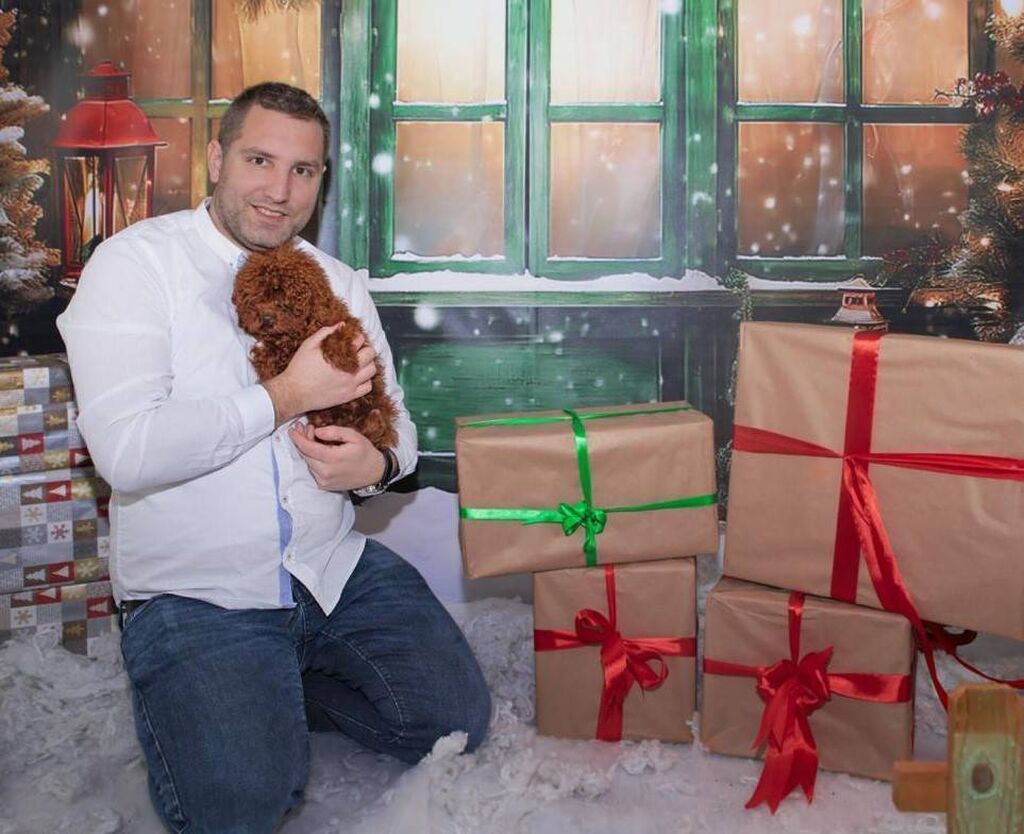 Mužjak TEACUP crvene pudlice, uvezen iz Kine! Slobodan za parenje