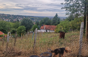 Kuća Sremska Kamenica