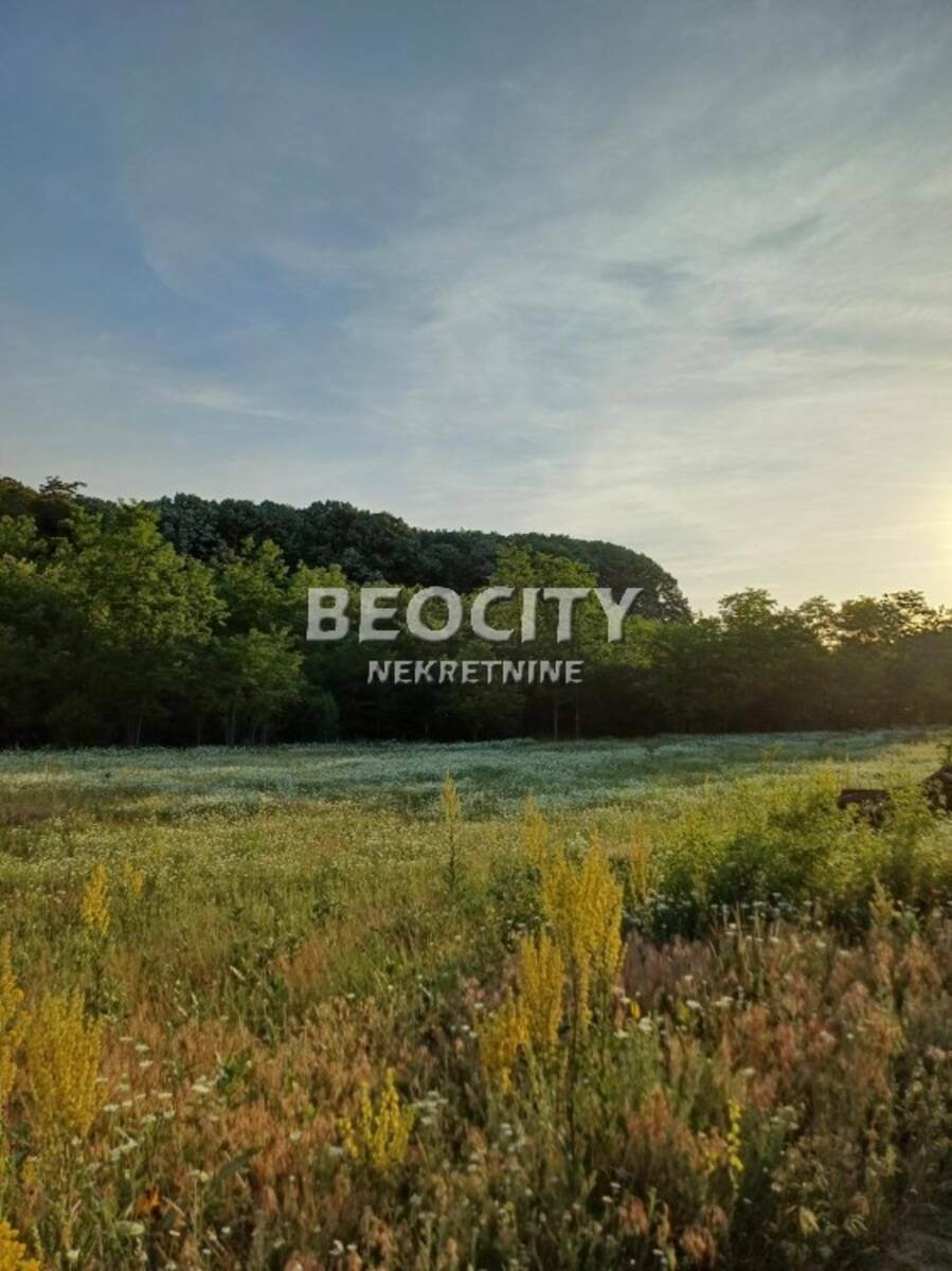 Bela Crkva, Deliblatska peščara, Banatska, 30a, 30000EUR