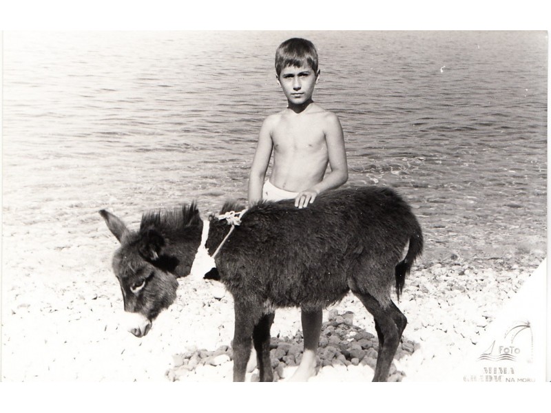 MAGARAC NA MORU , FOTO GRADAC