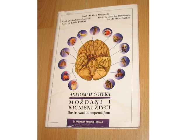 ANATOMIJA COVEKA MOZDANI I KICMENI ZIVCI Savremena