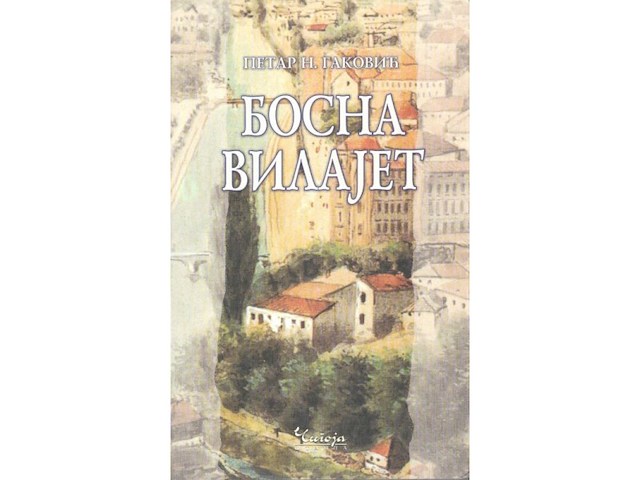 Bosna vilajet - Petar Gaković