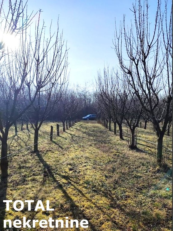 Plac Prodaja