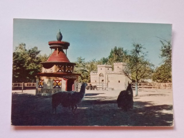 Palić - Subotica - ZOO Vrt - Životinje - Putovala 1964