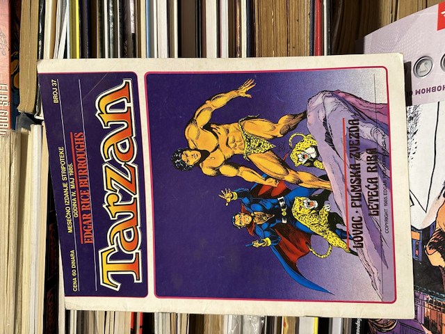 TARZAN 37