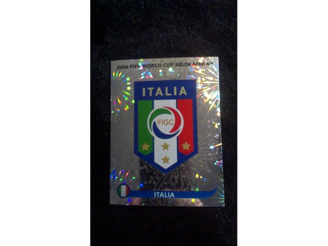 Panini FIFA 2010 J.Afrika sličica broj 411
