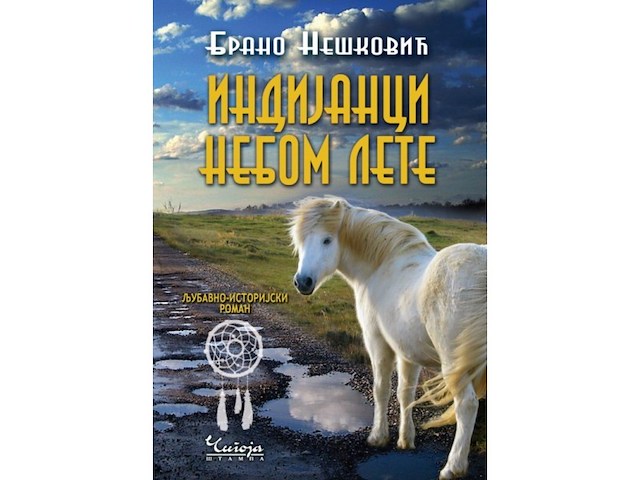 Indijanci nebom lete - Brano Nešković