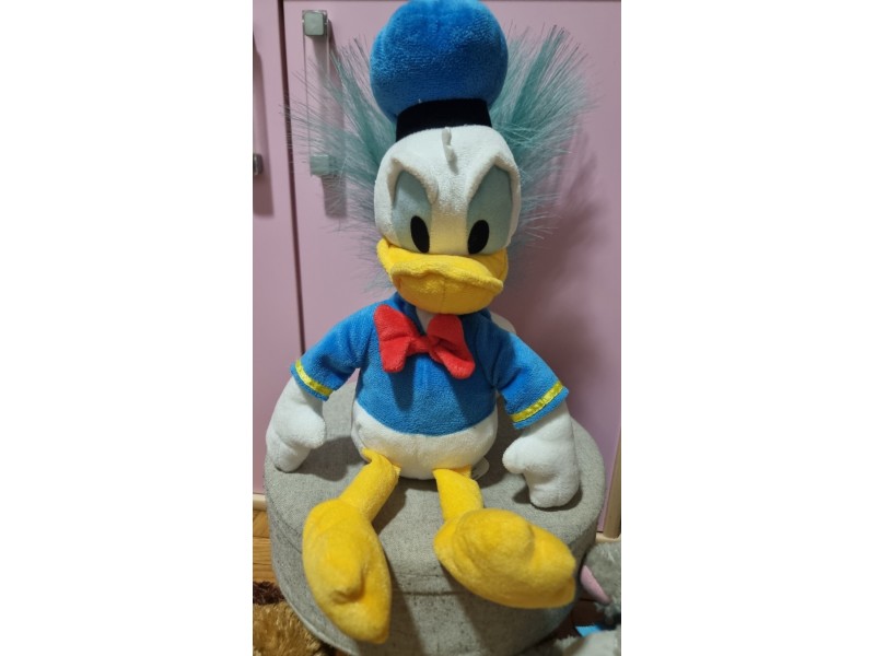 Paja Patak