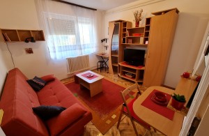 Iznajmljujem Stan-Apartman, Liman 3