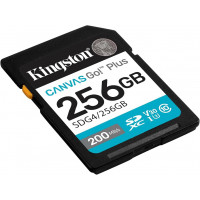 256 GB Kingston SDG4/256GB