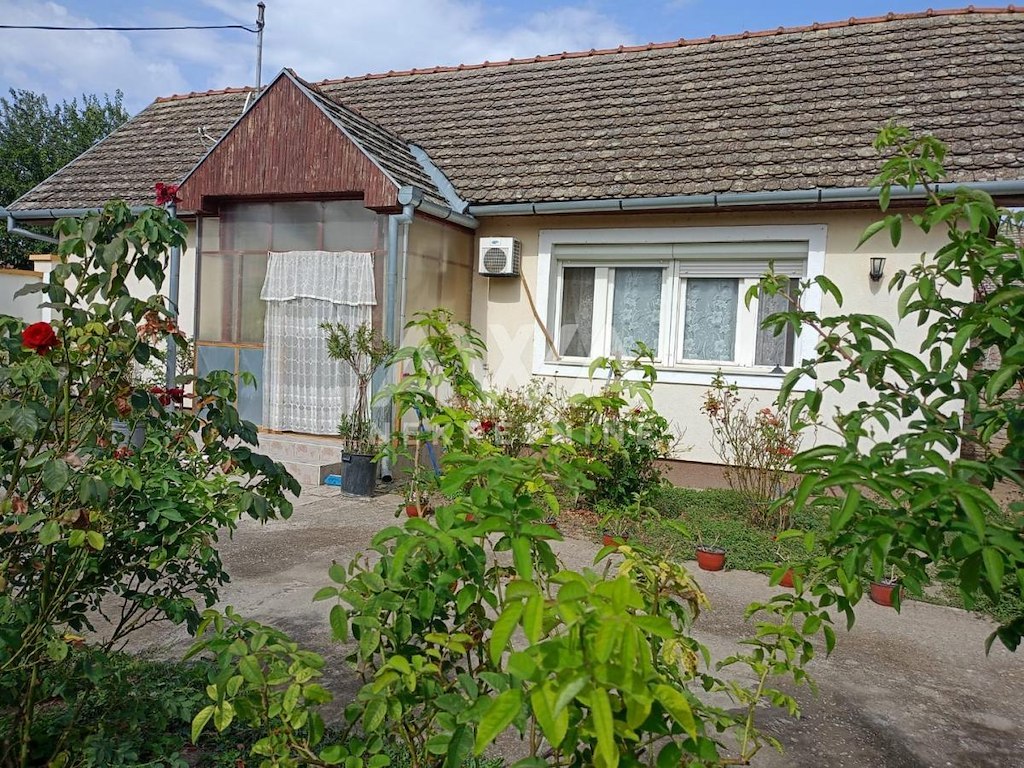 Prizemna kuća 63m2, plac 14ar