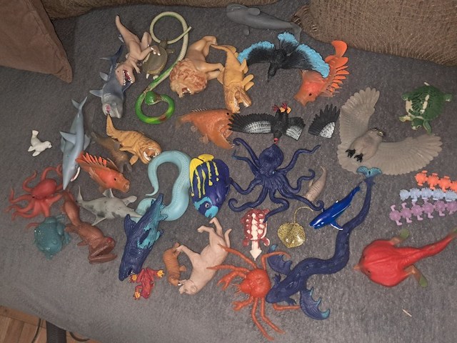 Epic animals životinje 25+