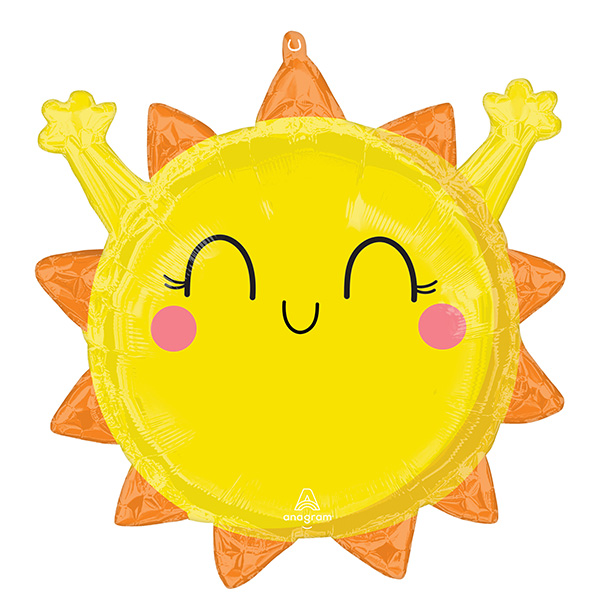 4788401
Rolypolies Sending You Sunshine