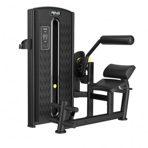 RING Lower back extension (mašina za donju ekstenziju ledja) RP INF-7