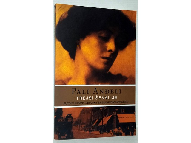 Pali anđeli - Trejsi Ševalije
