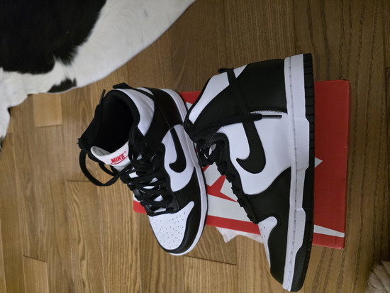 Nike Dunk High 38 koža
