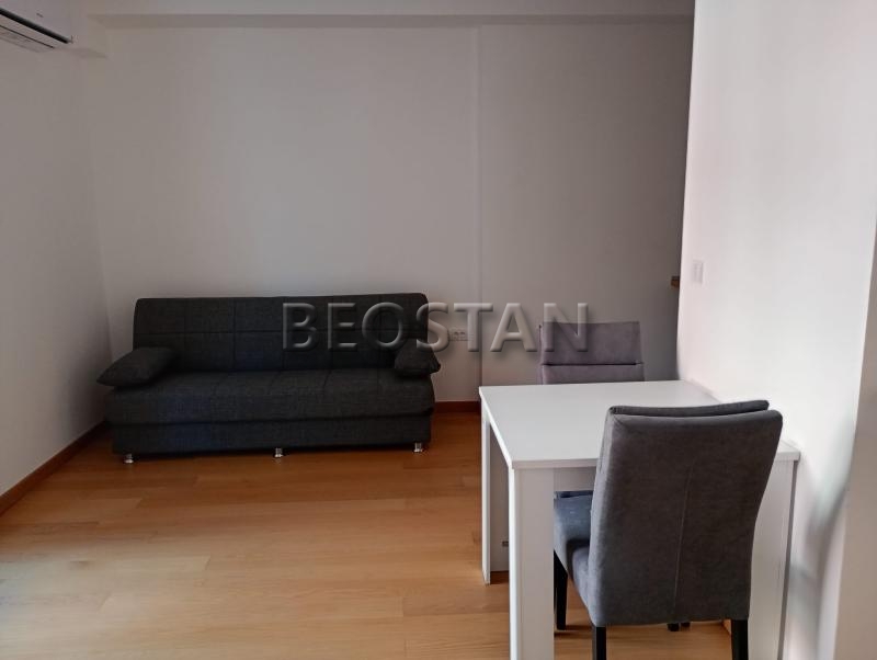 Centar - Zvezdara lion #64264 500 €