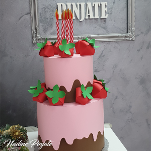 NADINE PINJATE TORTE OD KARTONA