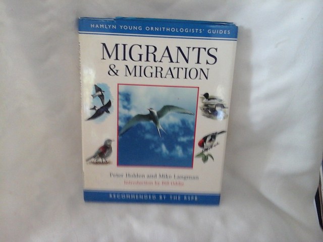 Migrants migration ornithologists guides Peter Holden