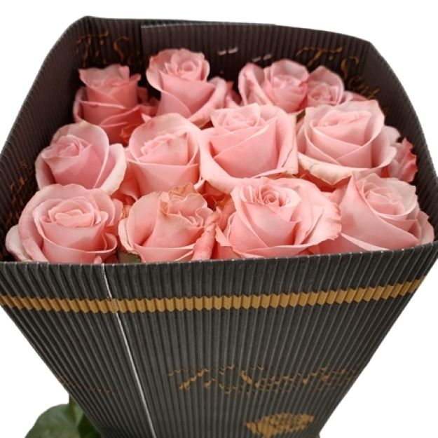 R Gr Be Sweet x 25 (ec) 50cm