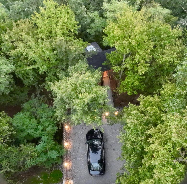 Furo Treehouse