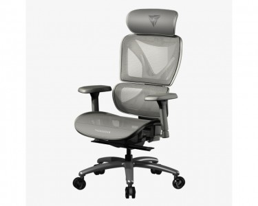 THUNDERX3 XTC-Mesh Ergonomska stolica siva