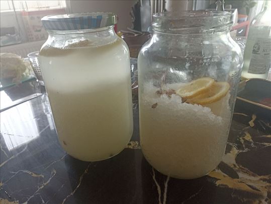 Kefir Japanski kristali za vodu