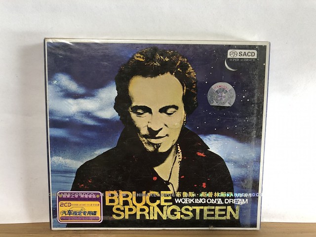Bruce Springsteen – Working On A Dream