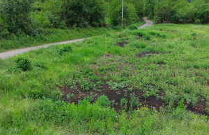 Prodajem Građevinsko Zemljište, Barajevo, Beograd Grad