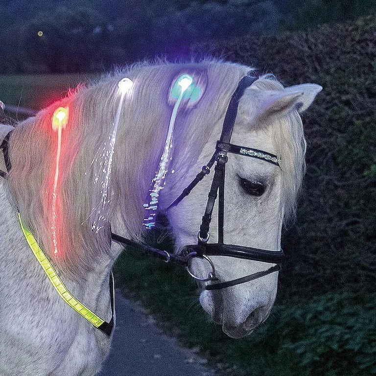 Led štipaljke za grivu 3/1