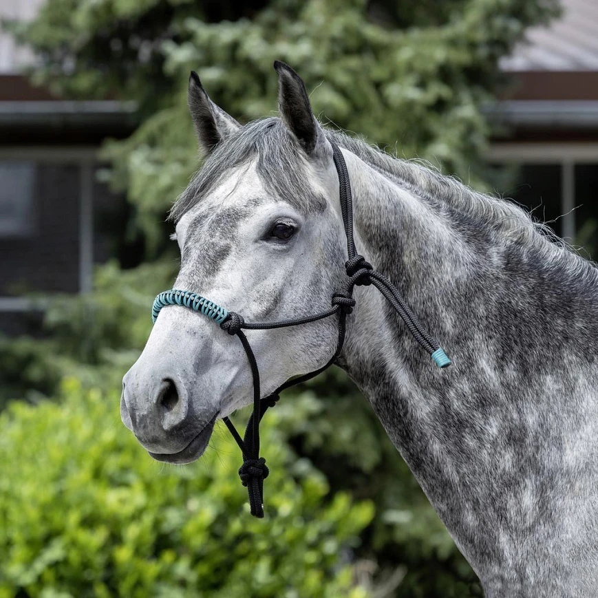 Ular za konje crno-tirkiz pleteni 0 pony