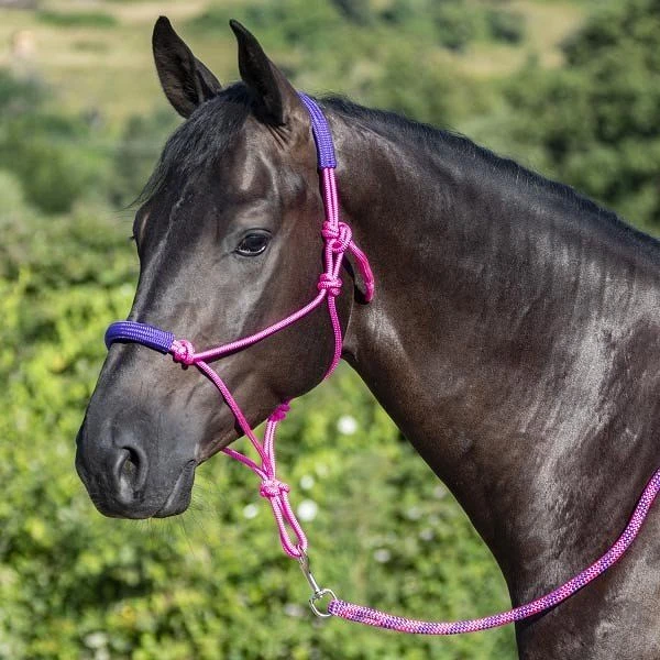 Ular za konje pink-ljubicasti sa povodcem shetland-pony