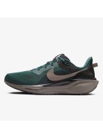 Air zoom pegasus 41 sp