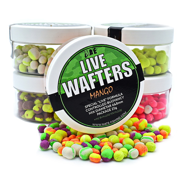 MATE  LIVE WAFTERS
