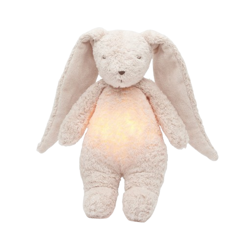 Moonie Zeka 2.0 – Zeka Rose