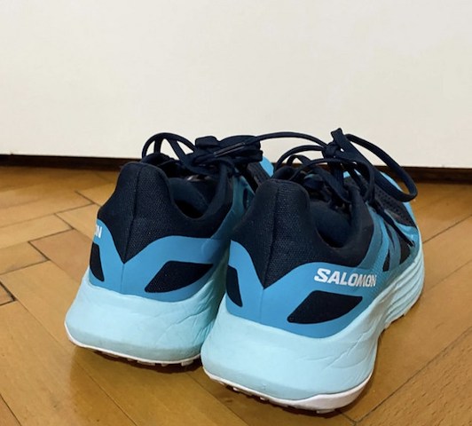 Salomon ultra flow