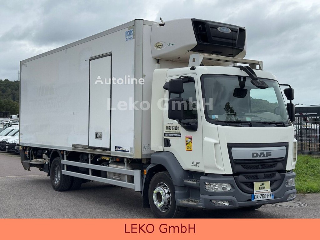 DAF LF 250 FA kamion hladnjača