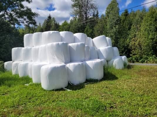 Okrugle bale vrhunskog kvaliteta
