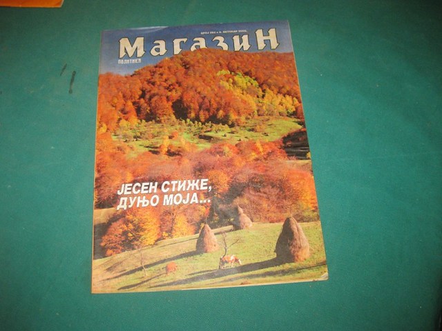 Politika Magazin br.262 (2002)