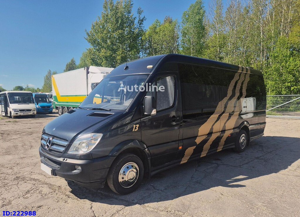 Mercedes-Benz Sprinter 519 VIP - 17 Seater - Euro 5 putnički minibus