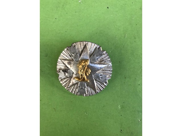Medalja- Orden zasluga za narod 4