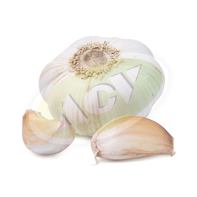 BELI LUK 250GR MESSIDOR